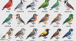 30 Birds That Start With D: Arctic Birds Beginning With the Letter D in ...