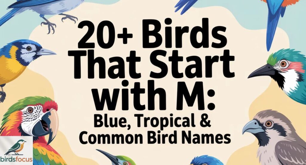 20+ Birds That Start With M: Blue, Tropical & Common Bird Names