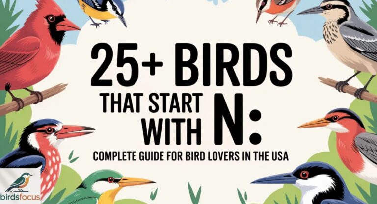 25+ Birds That Start With N: Complete Guide for Bird Lovers in the USA
